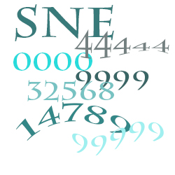 Walmart's Store Number Expansion Program